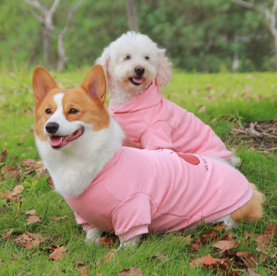 Pets T-Shirts – Posh Paws